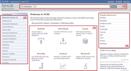 Bioinformatics Textbook - 生物信息学规划教材