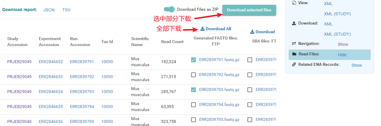 Bioinformatics Textbook - 生物信息学规划教材