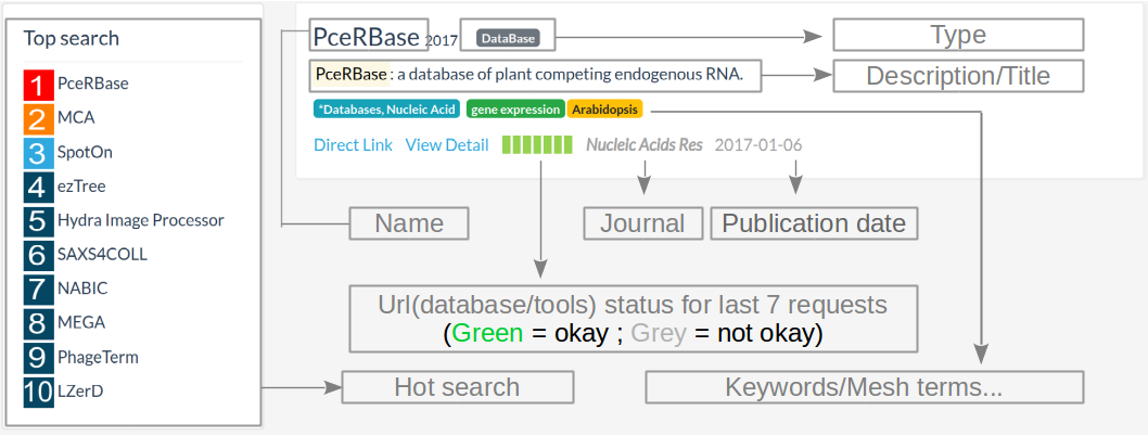 DaTo | Documentation